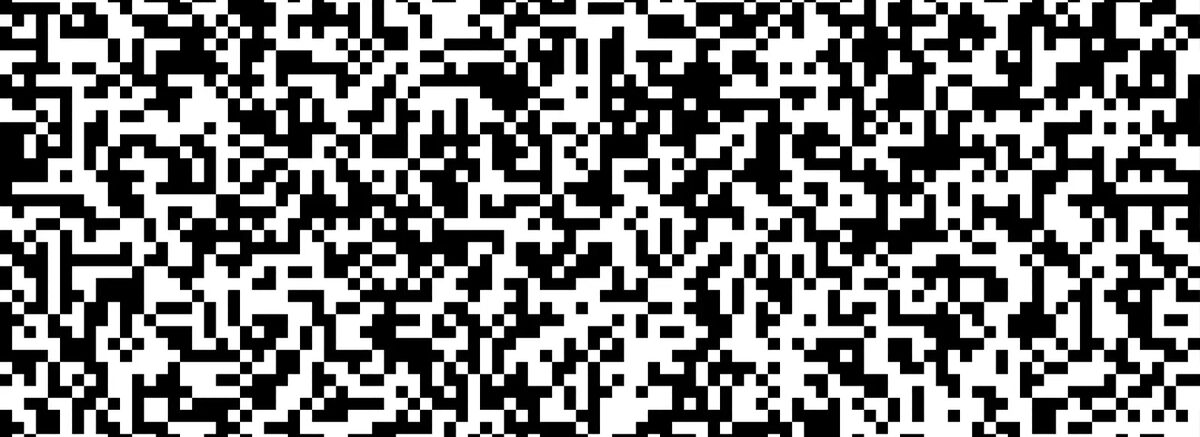 Codici a barre bidimensionali 2D in America | ExportUSA